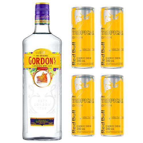 Gordons london dry gin | Casas Bahia