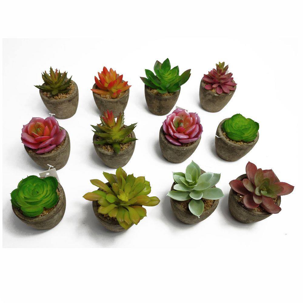 Kit 12 plantas mini suculentas artificiais mais vaso | Black Friday ...