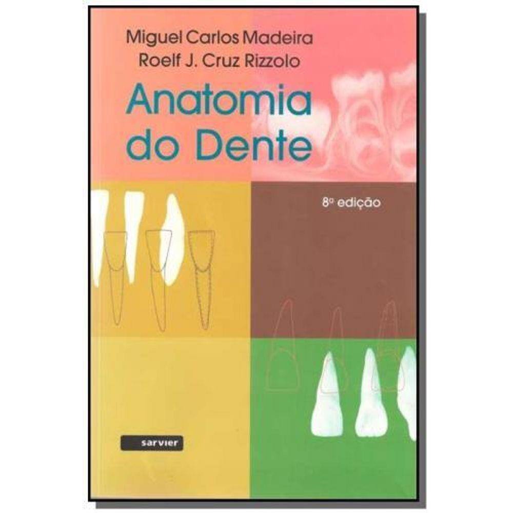 Anatomia dente | Casas Bahia