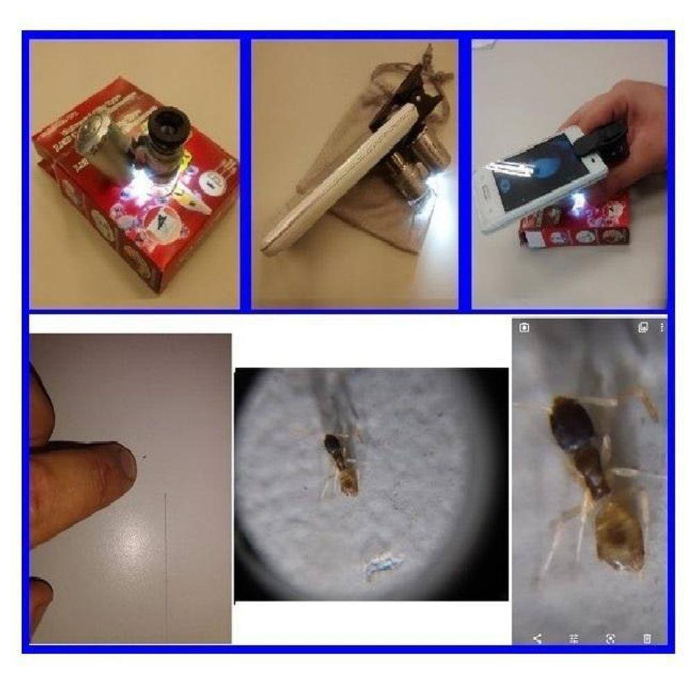 Lupa lupa fabrica de chocolate | Casas Bahia