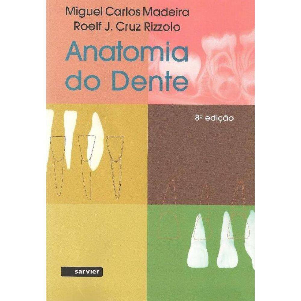 Anatomia dente | Casas Bahia