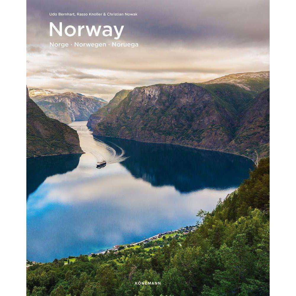 Diagnstico microbiolgico koneman | Casas Bahia