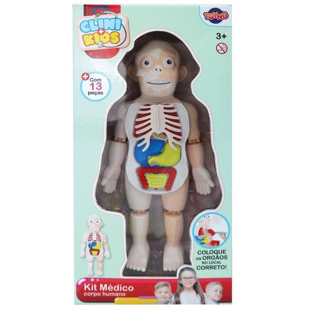 Boneco Do Corpo Humano | Casas Bahia
