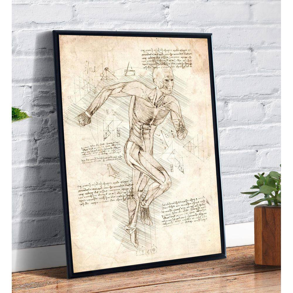 Desenho Anatomia Do Corpo Humano Black Friday Casas Bahia