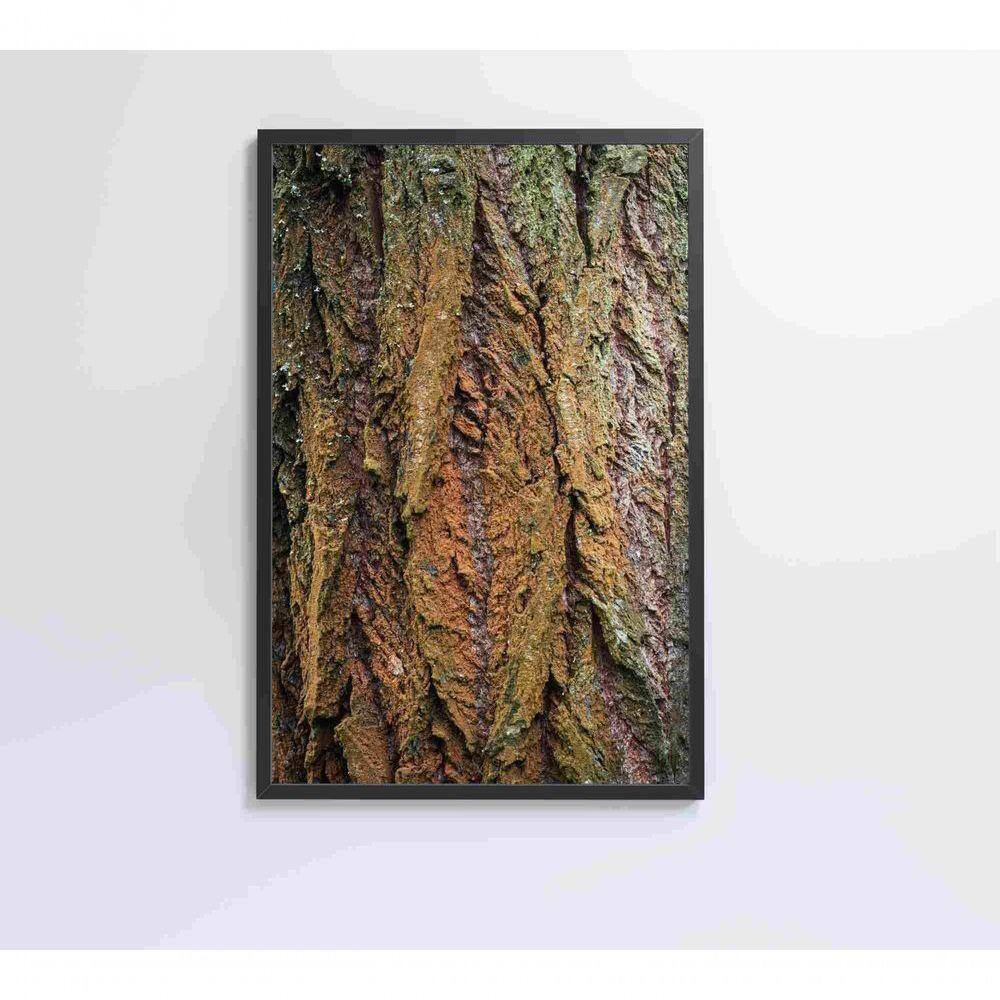 Papel digital tronco arvore | Black Friday Casas Bahia