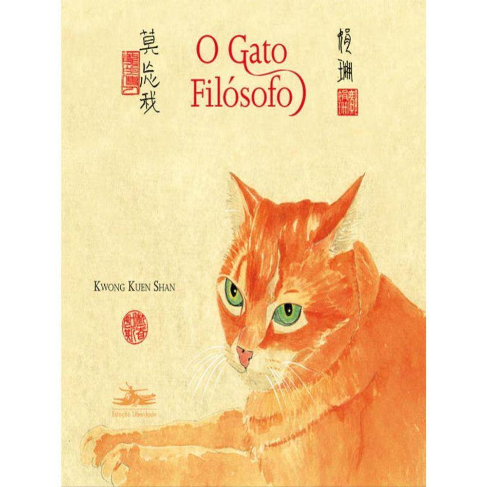 O gato filosofo | Casas Bahia