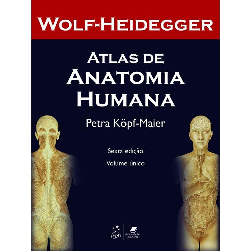 Atlas anatomia humana em imagem pdf download | Casas Bahia