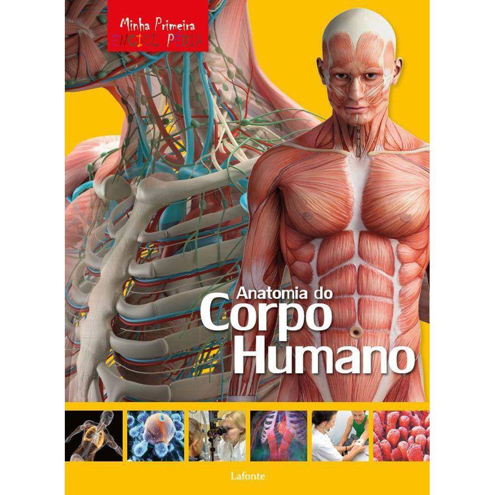 Raio x anatomia corpo humano sistema reprodutor | Casas Bahia Raio x anatomia corpo humano sistema reprodutor | Casas Bahia