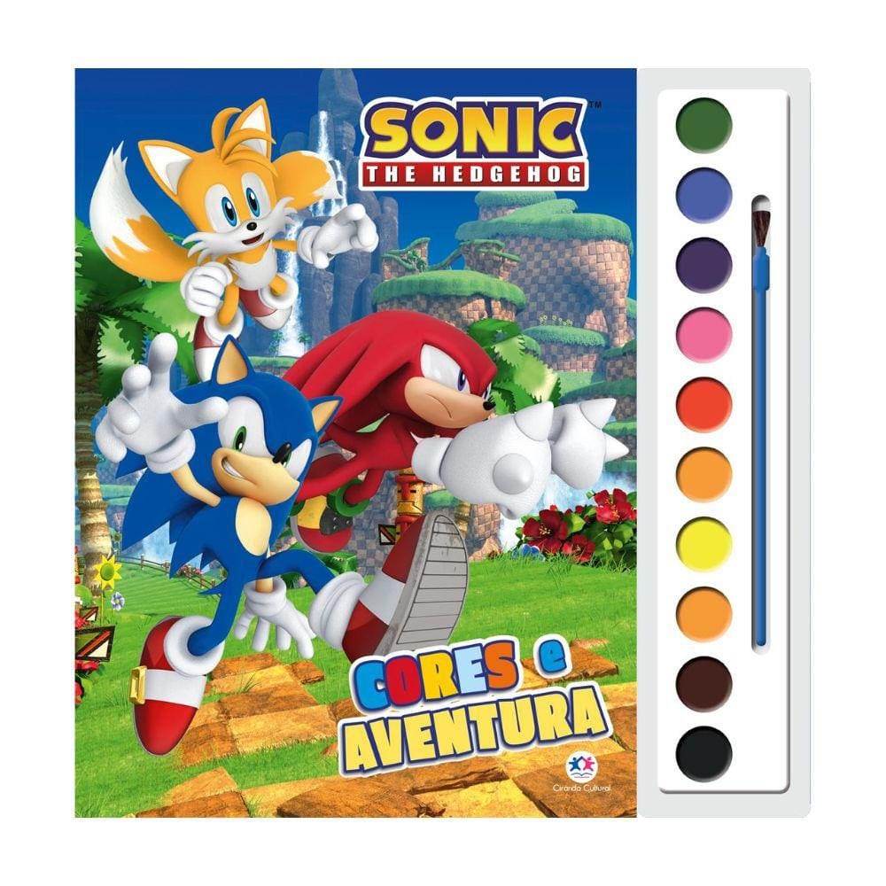 Livro Infantil Sonic The Hedgehog Cores | Casas Bahia