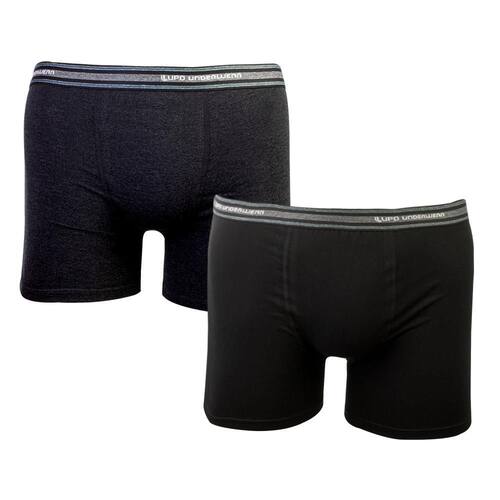 Cueca Lupo Boxer Kit c/ 2 00523 | Casas Bahia
