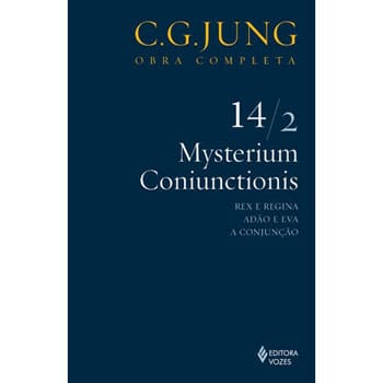 Obra completa de carl jung | Casas Bahia